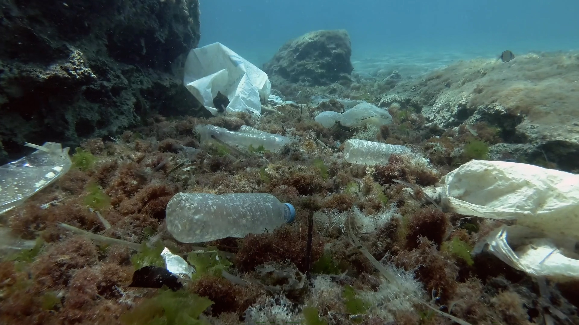 海洋廢棄物循環利用及標章申請資訊專區